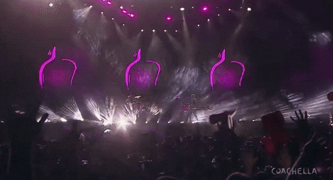 GIF by Coachella - Find & Share on GIPHY