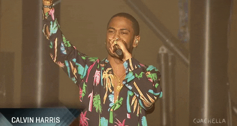 Big Sean GIF by Coachella - Find & Share on GIPHY
