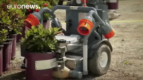 Robot Working GIF by euronews - Find & Share on GIPHY
