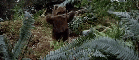 Return Of The Jedi Episode 6 GIF by Star Wars - Find & Share on GIPHY