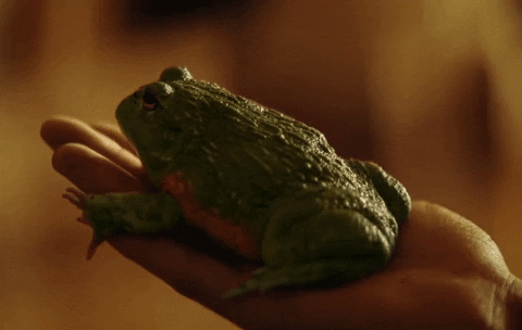 Toad GIF by The Weeknd - Find & Share on GIPHY