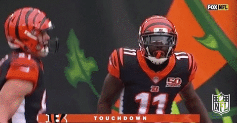 Cincinnati Bengals Football GIF by NFL - Find & Share on GIPHY