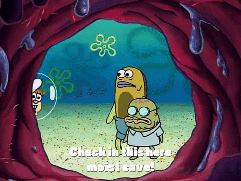 Season 2 Prehibernation Week GIF by SpongeBob SquarePants - Find ...