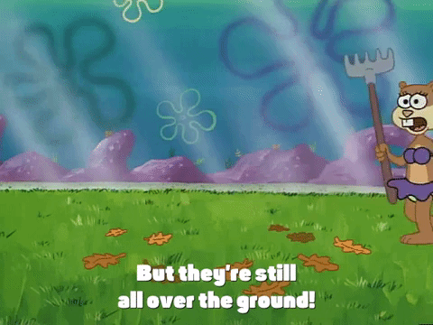 Season 2 Prehibernation Week GIF by SpongeBob SquarePants - Find ...
