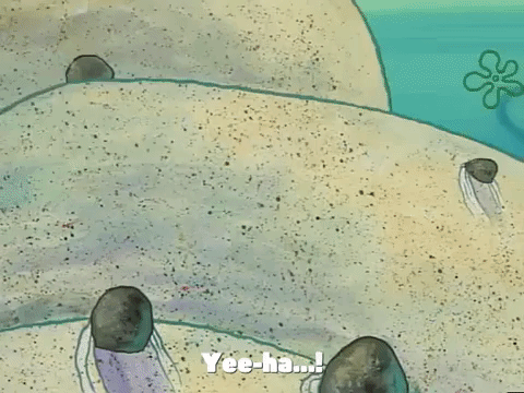 Season 2 Prehibernation Week GIF by SpongeBob SquarePants - Find ...