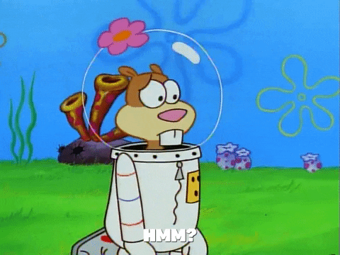 Season 1 Sb 129 GIF by SpongeBob SquarePants - Find & Share on GIPHY