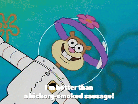 Season 2 Prehibernation Week GIF by SpongeBob SquarePants - Find ...