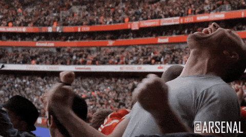 Premier League Yes GIF by Arsenal - Find & Share on GIPHY