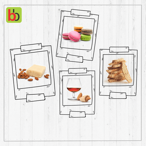 - Find & Share on GIPHY