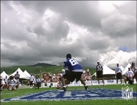 Pro Bowl Football GIF by NFL - Find & Share on GIPHY