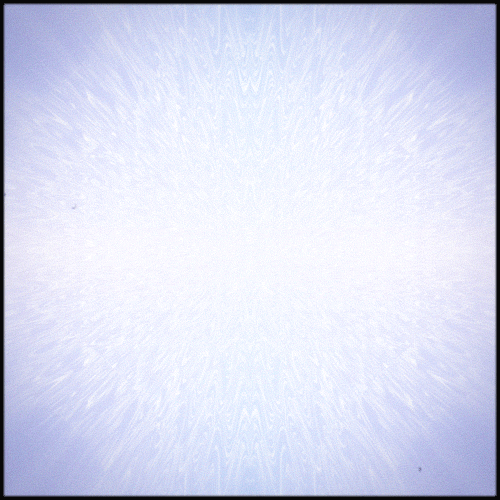 Gif Artist GIF by Erica Anderson - Find & Share on GIPHY