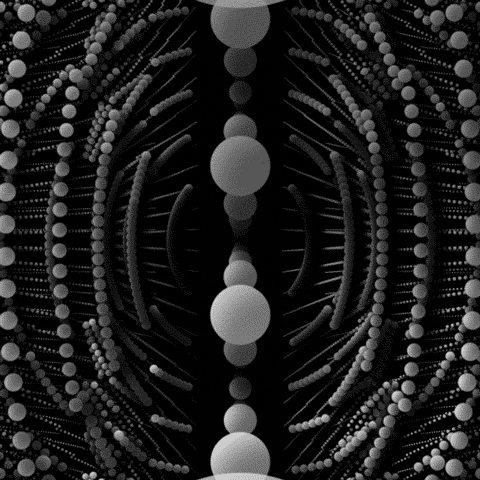 Black And White Loop GIF by Doze Studio - Find & Share on GIPHY