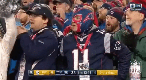 New England Patriots Gifs Search Find Make Share