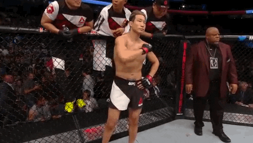 South Korea Fight GIF - Find & Share on GIPHY