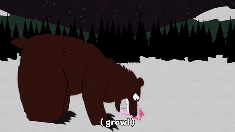 Scared Bear GIF by South Park - Find & Share on GIPHY