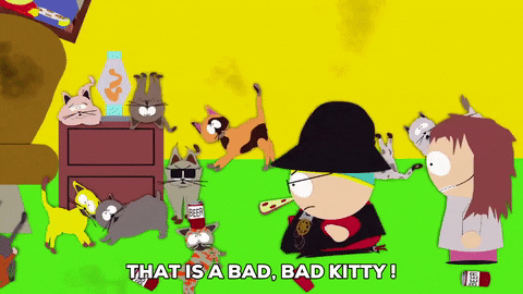 Eric Cartman Cat GIF by South Park - Find & Share on GIPHY