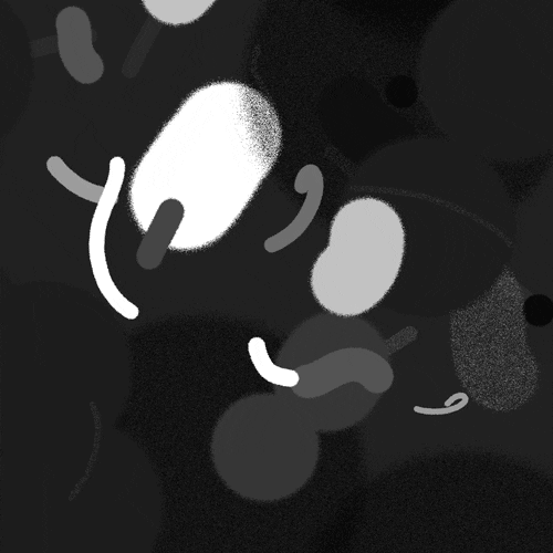 Black And White Animation GIF by Ori Toor - Find & Share on GIPHY
