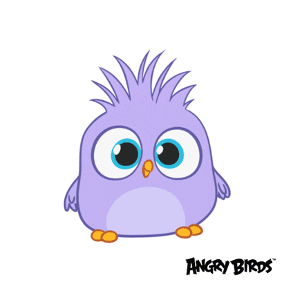 Happy Hatchlings GIF by Angry Birds - Find & Share on GIPHY