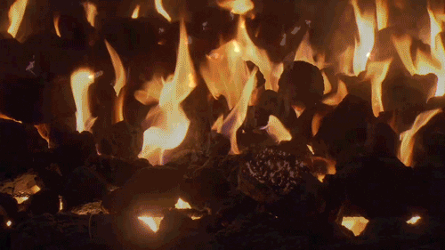 Australia GIF by Australian Survivor - Find & Share on GIPHY