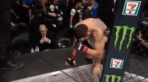 Ufc 206 Holloway GIF - Find & Share on GIPHY