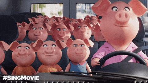 Sing Movie GIF - Find & Share on GIPHY
