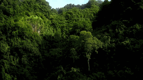 Australia GIF by Australian Survivor - Find & Share on GIPHY