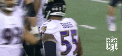 Baltimore Ravens Football GIF by NFL - Find & Share on GIPHY