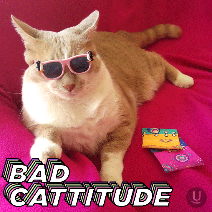 Happy Bad Cat GIF by U by Kotex Brand - Find & Share on GIPHY