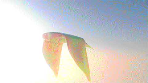 Flying Manta Ray GIF by somenerv - Find & Share on GIPHY