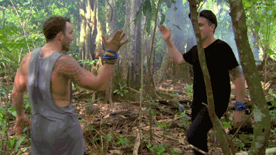 Australia GIF by Australian Survivor - Find & Share on GIPHY