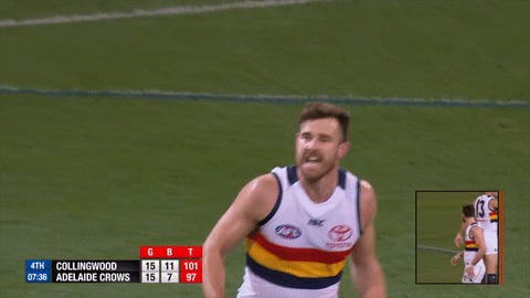 Adelaide Crows GIF - Find & Share on GIPHY