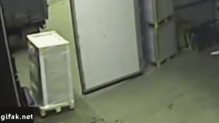 Oopsy GIFs - Find & Share on GIPHY