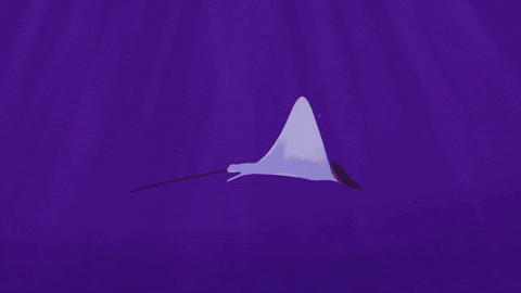 Go Away Animation GIF by aranchamora - Find & Share on GIPHY