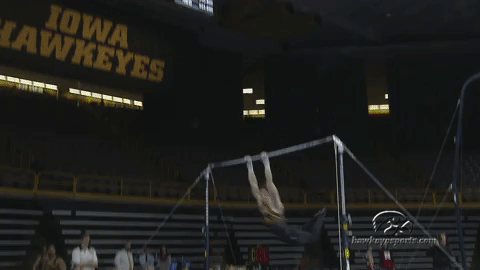 University of Iowa Hawkeyes Athletics GIF - Find & Share on GIPHY