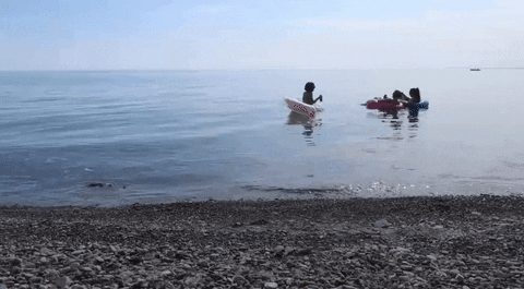 Floaties GIFs - Find & Share on GIPHY
