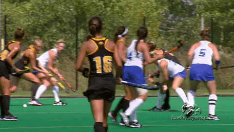 Hawks GIF by University of Iowa Hawkeyes Athletics - Find & Share on GIPHY