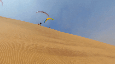 Desert Sliding GIF by Red Bull - Find & Share on GIPHY