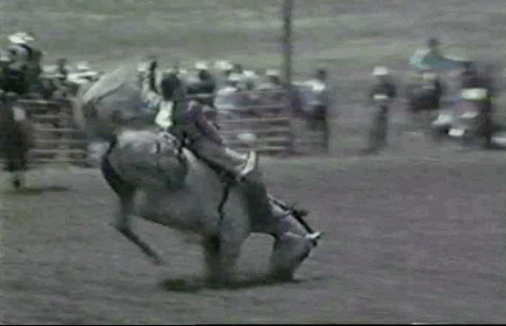 Afv GIF by America's Funniest Home Videos - Find & Share on GIPHY