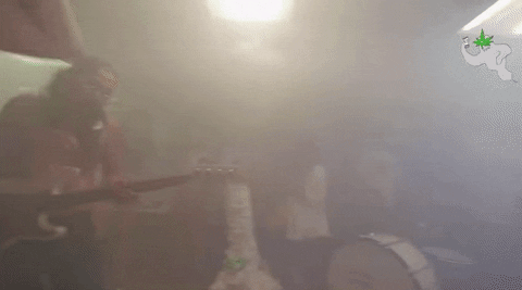 White Fang GIF by Burger Records - Find & Share on GIPHY