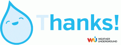 Rain Appreciate GIF by Weather Underground - Find & Share on GIPHY