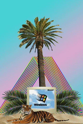 Windows 95 GIF by kotutohum - Find & Share on GIPHY