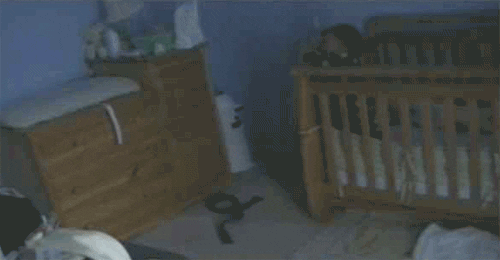 Afv GIF by America's Funniest Home Videos - Find & Share on GIPHY