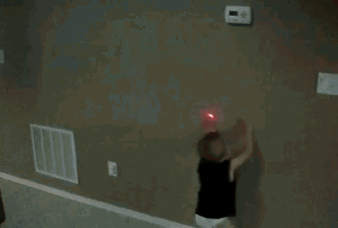 Afv GIF by America's Funniest Home Videos - Find & Share on GIPHY