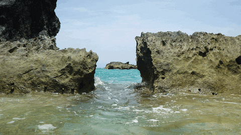 Beach Ocean GIF by Doctor Popular - Find & Share on GIPHY