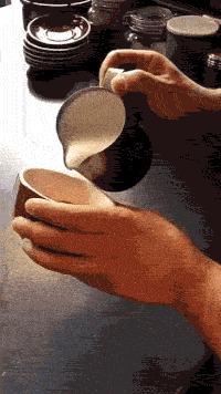Coffee Fail GIF by Demic - Find & Share on GIPHY