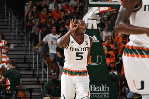 Miami Hurricanes GIF - Find & Share on GIPHY