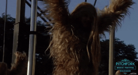 Pitchfork Music Festival GIF by Pitchfork - Find & Share on GIPHY