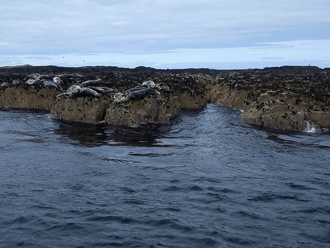 - Find & Share on GIPHY