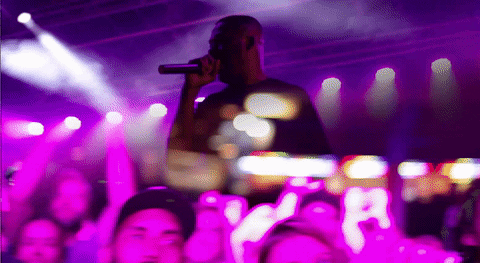 Concert Burger Beach Bash GIF by Burger Records - Find & Share on GIPHY