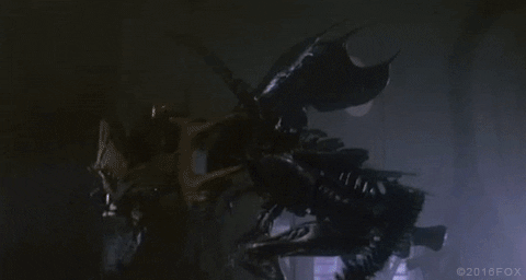 James Cameron Siguorney Weaver GIF by Aliens - Find & Share on GIPHY